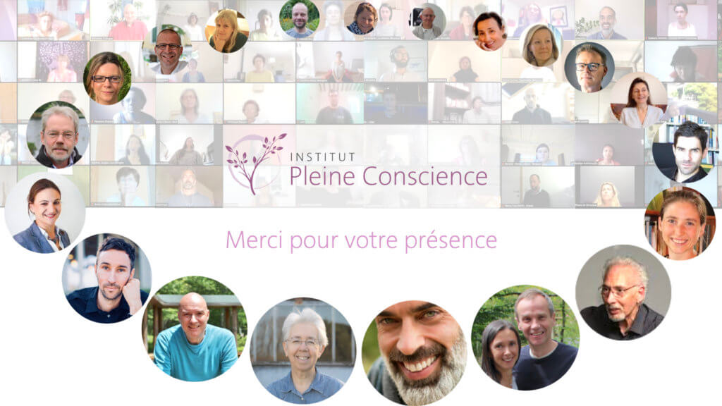 Institut Pleine Conscience (Mindfulness): Apprivoiser le stress et les ...